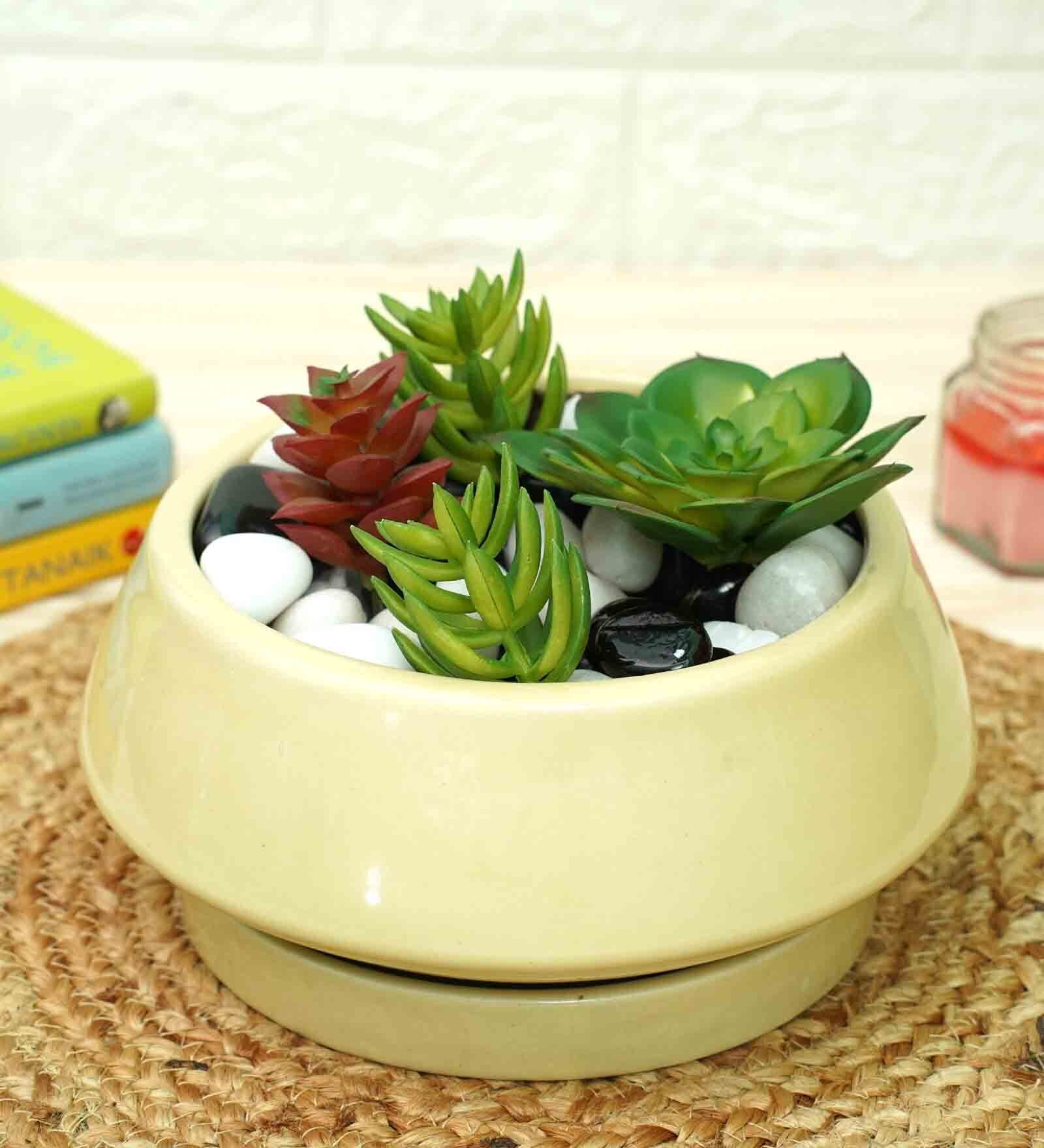 Buy Yellow Ceramic Disk Desk Pot By Gold Dust at 27% OFF by Gold Dust ...