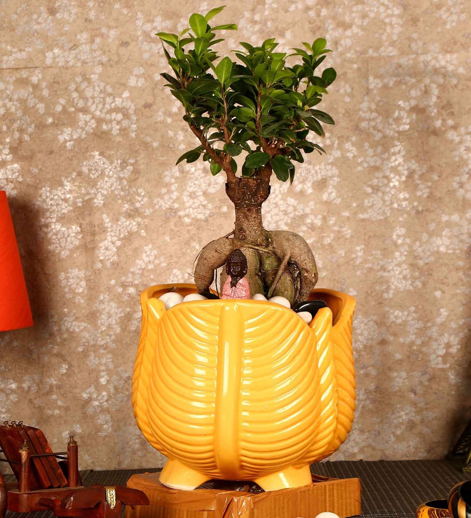 Buy Yellow Ceramic Medium Gobhi Shape Flower Pot at 36% OFF by ...