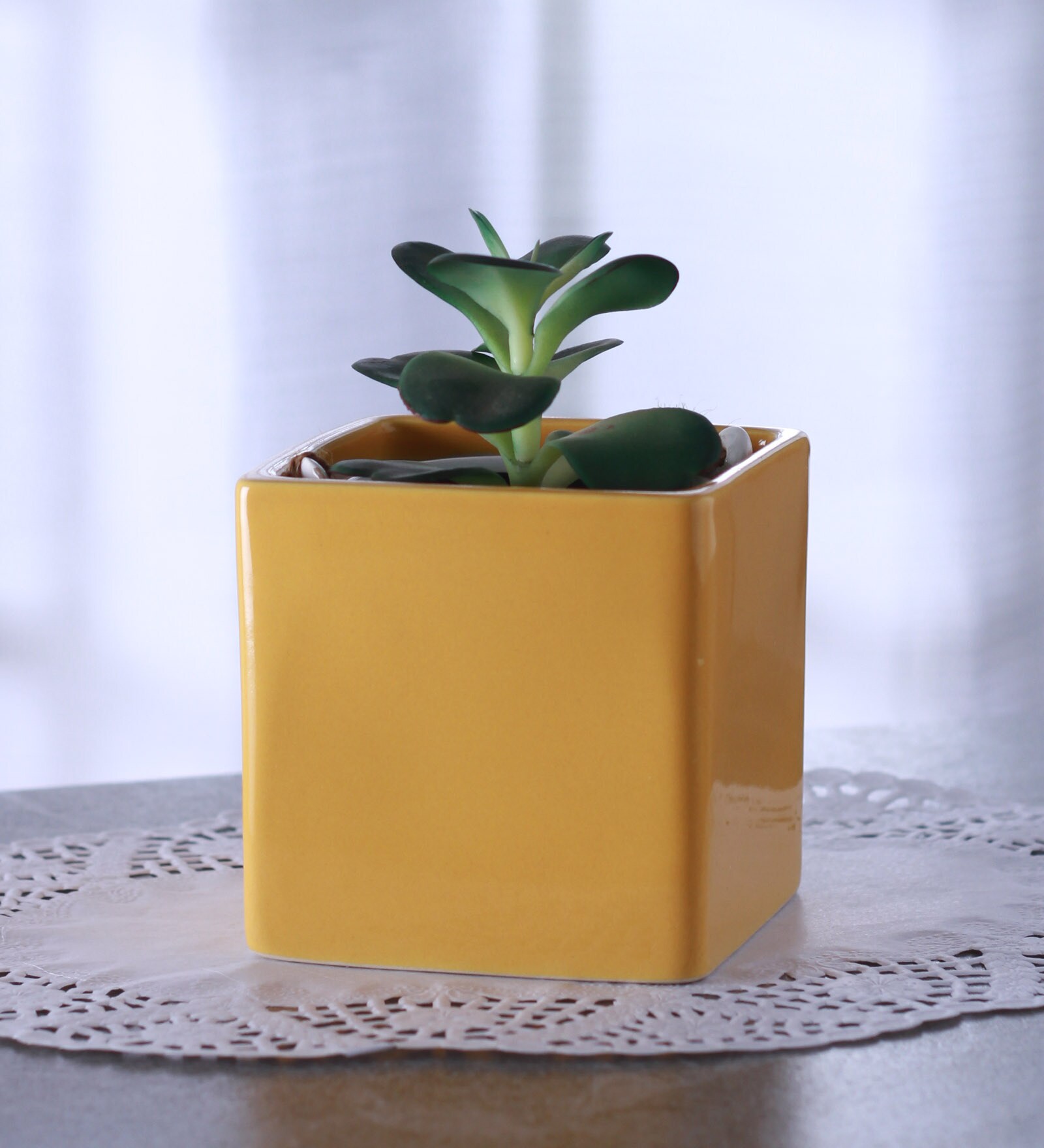 Buy Yellow Ceramic Planter at 38% OFF by Gaia | Pepperfry
