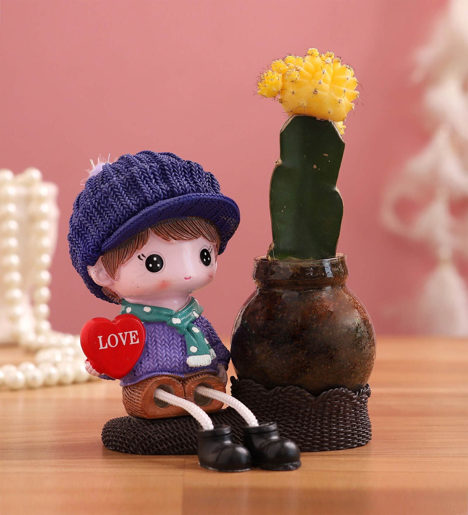 Buy Yellow Moon Cactus Natural Plant In Blue Cap Girl Love Vase by ...
