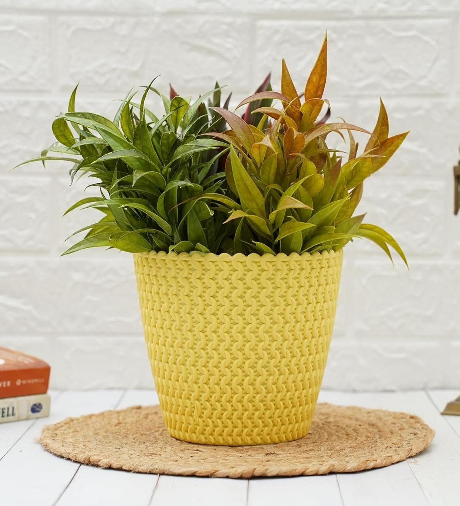 Buy Yellow Plastic Desk Pot at 43% OFF by Gold Dust | Pepperfry