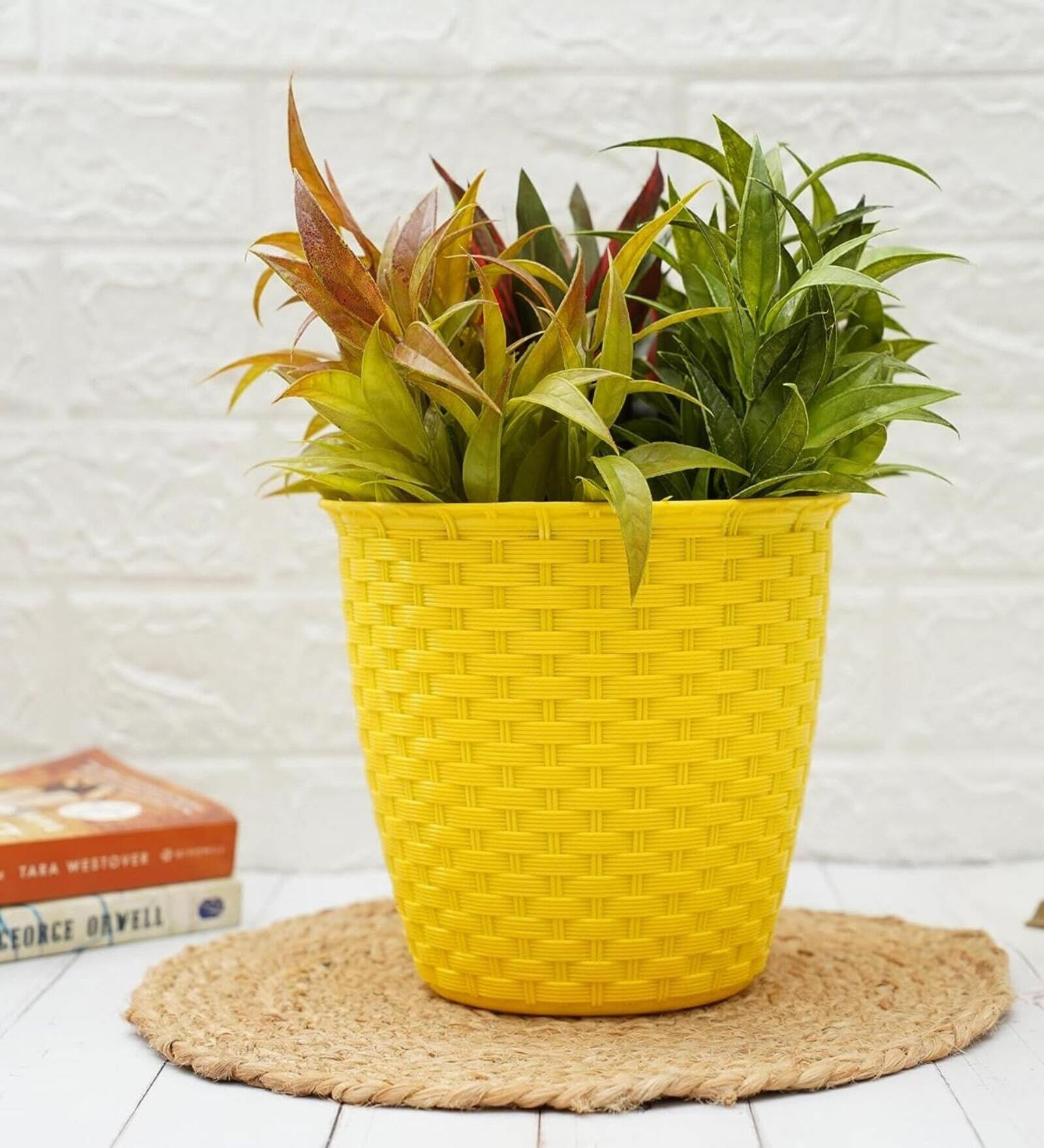 Buy Yellow Plastic Desk Pot at 29% OFF by Gold Dust | Pepperfry