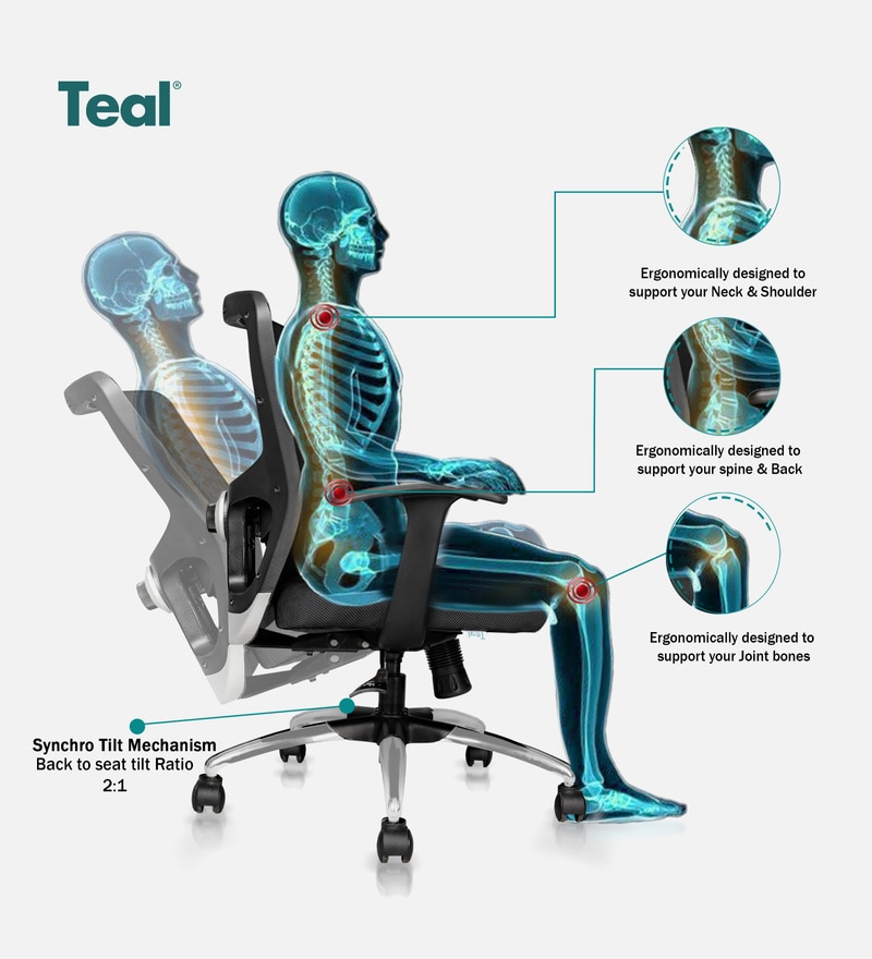 Buy Zenith Mid Back Ergonomic Office Chair in Black Colour by Teal ...