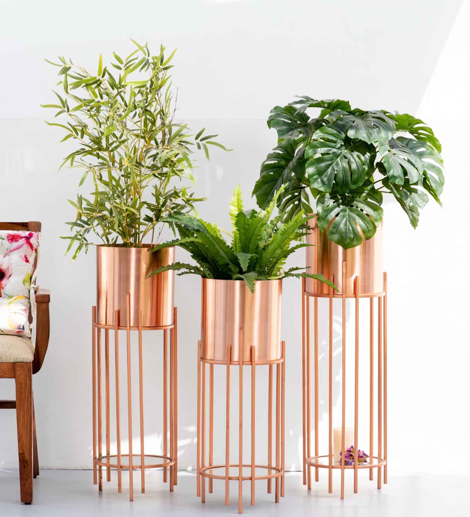Buy Zola Planters -Rose Gold Set Of 3 at 23% OFF by The Decor Remedy ...